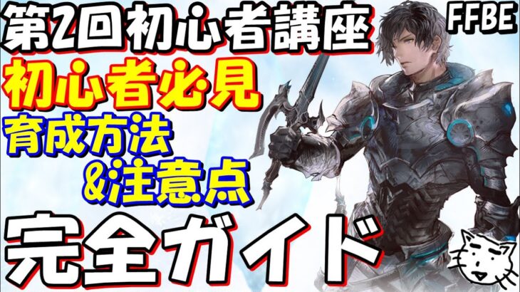 【FFBE】第2回FFBE初心者講座 最新版！！ユニットの育成方法&注意点【Final Fantasy BRAVE EXVIUS】｜動画配信者支援ブログ