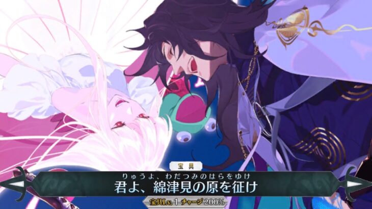 【FGO】Sakamoto Ryouma (Lancer) Servant Demonstration – 坂本龍馬【Fate/Grand ...