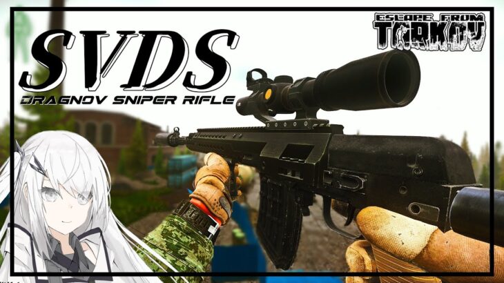 【EFT/タルコフ】SVDSでパニッシャー＆100mタスク！！#32【ゆっくり実況】【CoeFont】｜動画配信者支援ブログ