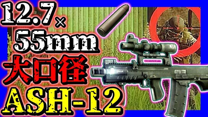 【タルコフ】12.7×55mmの最強口径で敵を瞬殺するASH-12がコスパ最強ってマジですか？？ part91【ゆっくり実況】｜動画配信者支援ブログ