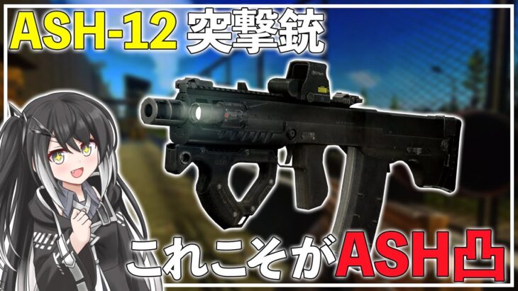 【タルコフ】ASH-12を使って敵PTに潜入!!そしてASH凸!!【EFT】【Coefont】｜動画配信者支援ブログ